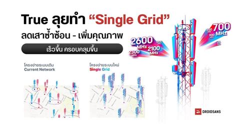 True Single Grid