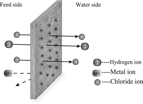 Illustration Of The Diffusion Dialysis Principle Through The HCl Download Scientific Diagram