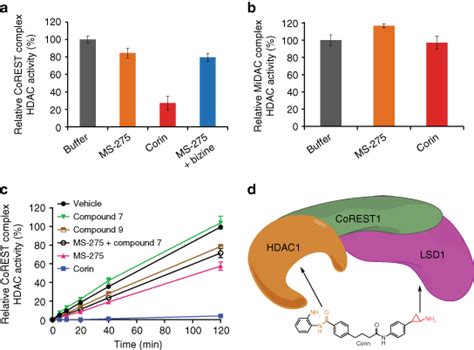 Corin Exhibits Sustained Inhibition Of Corest Complex Hdac Activity A