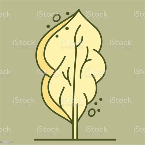 건축 계획을위한 나무 측근 디자인 다양한 나무 관목 및 관목 조경 설계 계획을위한 정면보기 벡터 일러스트레이션 건축가에 대한 스톡 벡터 아트 및 기타 이미지 Istock