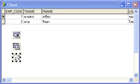 Coding Evolution Delphi Multi Tier Application Server DCOM