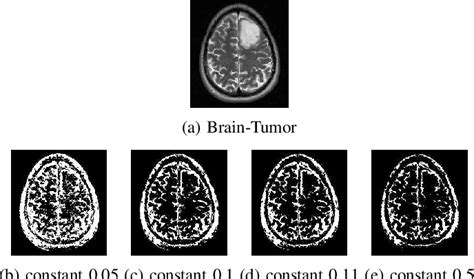 A Novel Falling Ball Algorithm For Image Segmentation