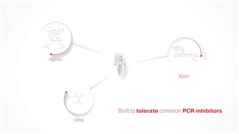 Powerful Pcr With Platinum Ii Taq Dna Polymerase Scientific Videos