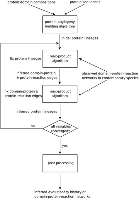 Schematic Of The Dpr Network Reconstruction Algorithm A Collection Of