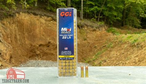 Best 22lr Ammo For Pistols Rimfire Roundup The Broad Side