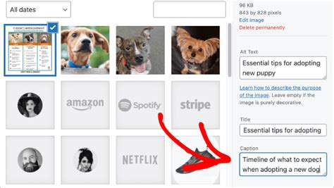 How To Add Captions To Featured Images In WordPress