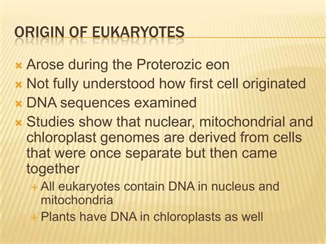 Chapter 22 The Origin Of Eukaryotes Pptx