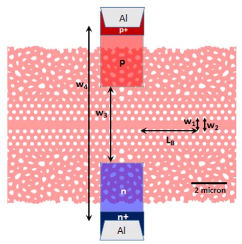 14 The Layout Of The Doping Regions And Electric Contacts Used To Download Scientific Diagram