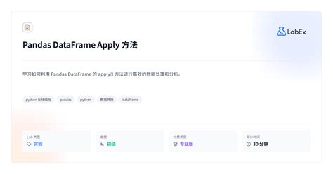 Pandas Dataframe Apply 方法：强大的数据转换工具 Labex