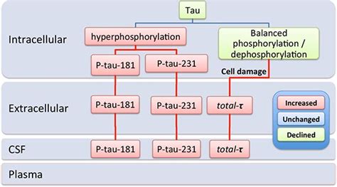 Biomarkers Of Tau Pathology Schematic Representation Of Biomarkers Of
