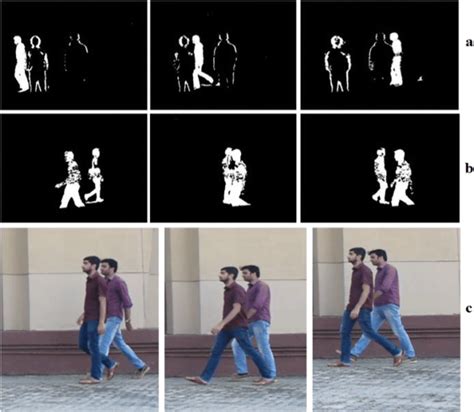 Describes The Occlusion Categories A Shows Static Occlusion When Download Scientific Diagram Describes The Occlusion Categories A Shows Static Occlusion When Download Scientific Diagram