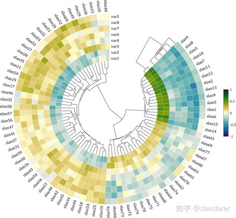 MATLAB 绘图复刻 五 带树状图的环形热图 知乎