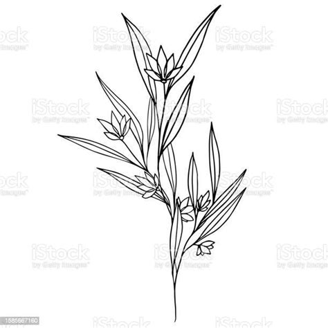 식물 추상 라인 아트 구성으로 허브 꽃 나뭇잎 및 가지의 최소한의 꽃 요소가 있습니다 청첩장 로고 디자인 및 포스터 템플릿 문신을 위한 벡터 그림 0명에 대한 스톡 벡터