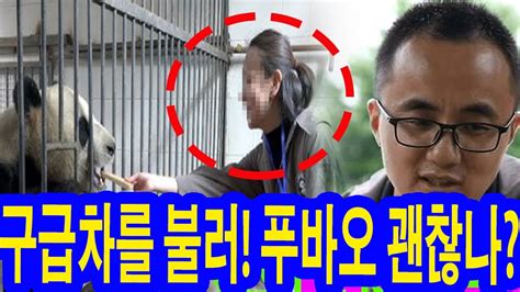충격 쉬샹 사육사는 푸바오의 손에서 갑자기 음식을 빼앗고 던져버렸다 이거 먹지마위험해 구급차를 불러 푸바오 괜찮나 한 직원이 푸바오에 큰 실수를 하여