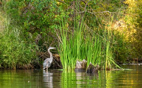Explore Everglades National Park Florida Airboat Tours