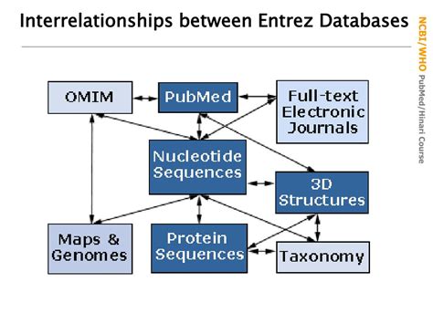 PPT NCBI Literature Databases PubMed Background PowerPoint Presentation ID 4754591