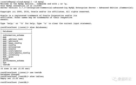 MySQL恢复 Oracle MySQL云服务上的MySQL企业版审计