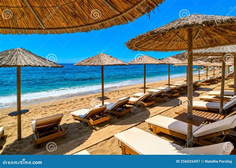 Rows Of Sun Umbrellas And Sunbeds Ready For Tourists On Sandy Beach