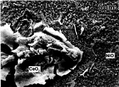 Sem Planar View Of Ni Substrate Coated With 200 Nm Ceo 2 And Annealed