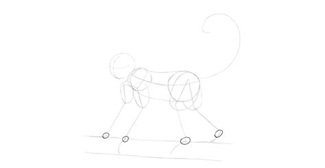 How To Draw A Monkey Step By Step Envato Tuts