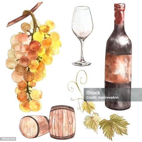 와인을 설정합니다 스케치 스타일에 포도주 양조 법 제품입니다 배럴 유리 포도 나뭇가지와 수채화 그림 클래식 알콜 음료입니다 0