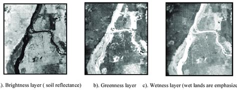 Tasselled Cap Transformation Results Generated With Image Analyst From