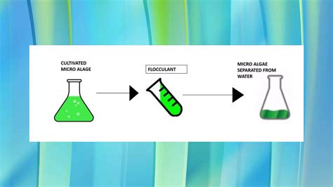 Technologies For Microalgae Harvesting Pptx