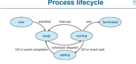 Operating Systems Week 1 Flashcards Quizlet