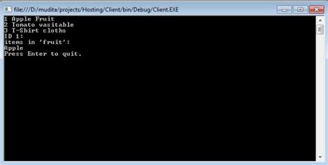 Self Hosting In Asp Net Web Api