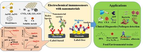 Flow Enhanced Electrochemical Immunosensors On Centrifugal Microfluidic