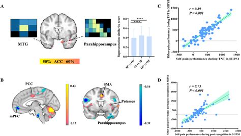 Neural Underpinnings Of A Two Phase Memory Suppression Process In The Neural Response To Self
