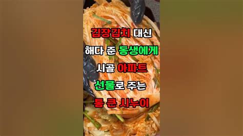 김장김치 대신 해다준 동생에게 시골 아파트를 선물로 주는 통큰 시누이가 다 있네요 김장 시누이 아파트 시골 Youtube