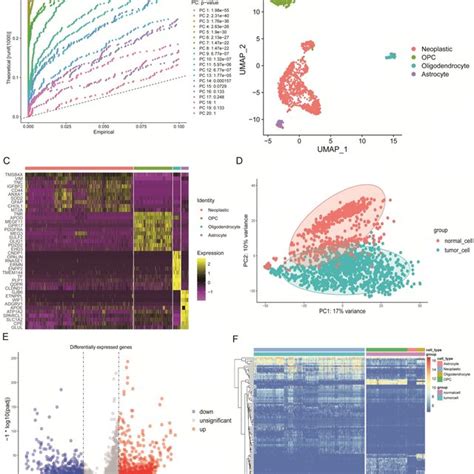 Characteristics Of Single Cell Rna Seq Data And Degs A Jack Straw