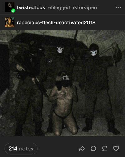 Kink Aesthetic Blogs Stop Reposting Nazi Propagand Tumbex