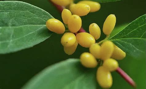 Learn Python In 1 Hour A Beginners Guide By Mohammed Saiful Alam Siddiquee Medium