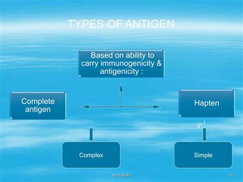 Antigen Immunology 1 Pptx