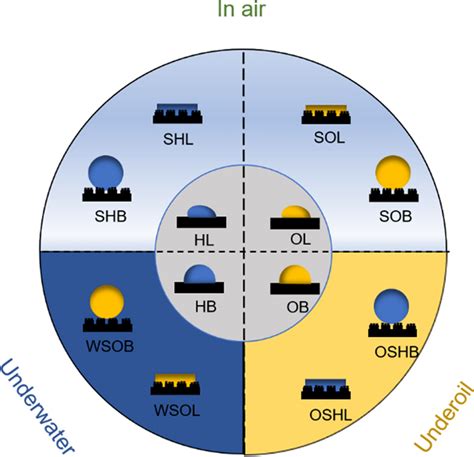 Surface Wetting State Hydrophilic Hl Hydrophobic Hb Oleophilic Download Scientific