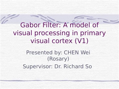 Ppt Gabor Filter A Model Of Visual Processing In Primary Visual