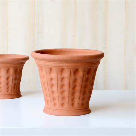 Cockleshell Pot White Flower Farm