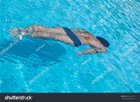 Man Floating Underwater Swimming Pool Stock Photo Shutterstock