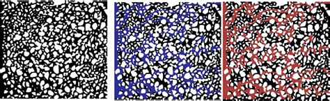 A Initial Conditions For The Low Salinity Waterflooding In The