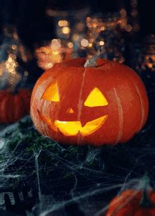 Halloween Pumpkin S Tenor