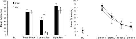 Figure 2 From Retrosplenial Cortex Has A Time Dependent Role In Memory For Visual Stimuli