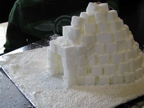 How To Make An Igloo With Sugar Cubes At Max Kim Blog