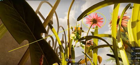 Praying Mantis Location In Grounded 2 Item Level Gaming