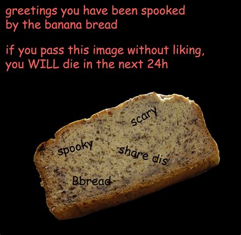 Tifu By Not Having Sex With Bernie Sanders Rcirclejerk