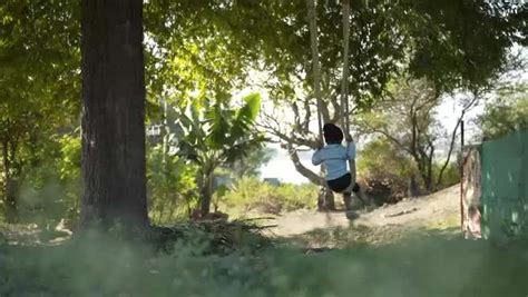 Maha Forest Official जुन्नर वन विभागामार्फत तालुक्यातील तसेच राज्यातील इतर जिल्ह्यातील