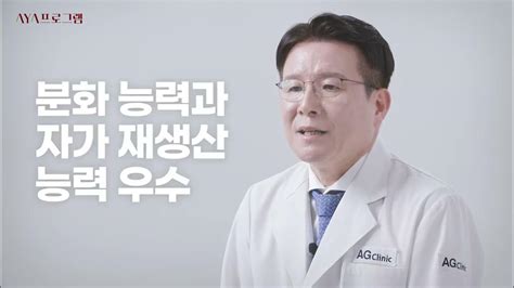 항노화 치료 내 나이가 사라지는 마법 줄기세포 치료란 무엇인가요 Youtube
