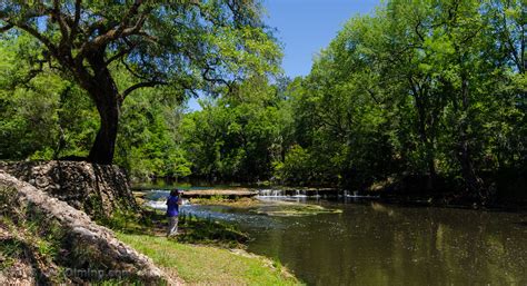 Elevation Of Steinhatchee Fl Usa Elevation Finder Topographic Map