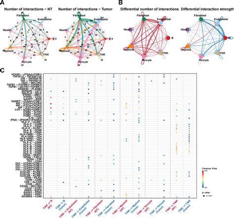 Cellcell Interaction Differences In Tumor And Normal Tissues A Download Scientific Diagram Cellcell Interaction Differences In Tumor And Normal Tissues A Download Scientific Diagram